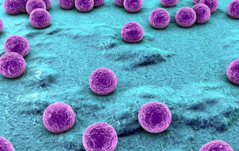 Research & Product Development - BSGN